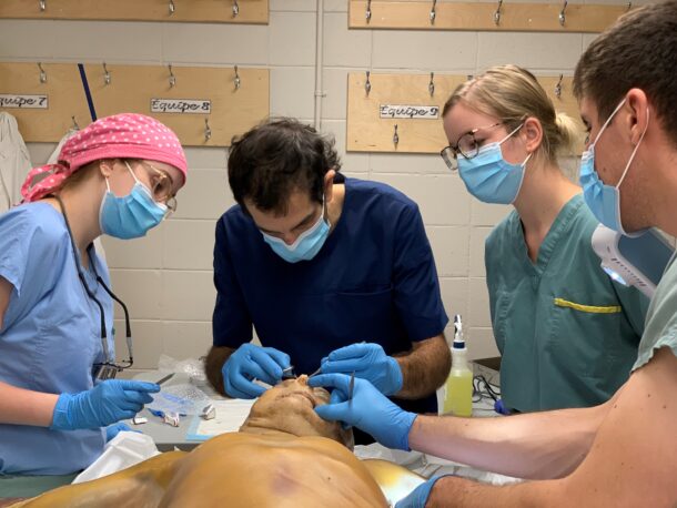 Galerie de photos du laboratoire d'anatomie à l'UQTR - Département de ...